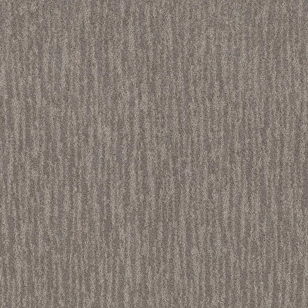 Carpet Installation Chicago – Carpets in the Park