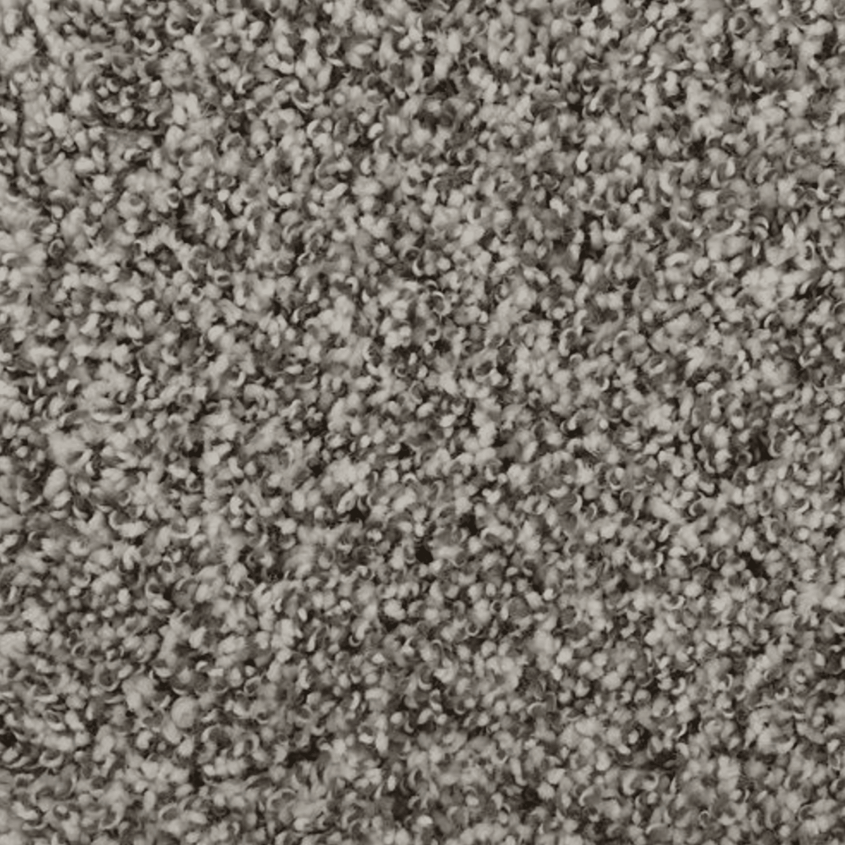 Carpet Installation Chicago – Carpets in the Park