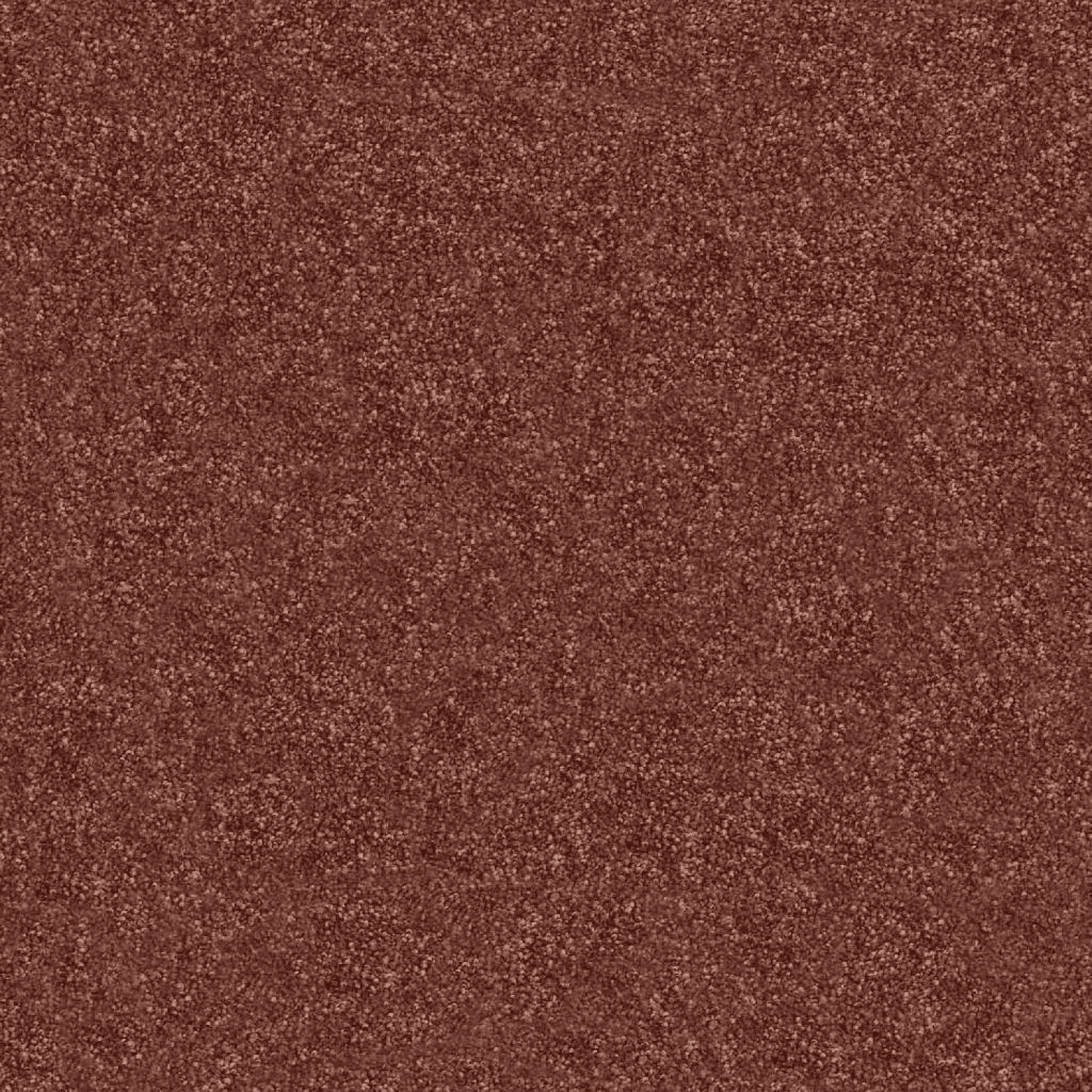 Carpet Installation Chicago – Carpets in the Park